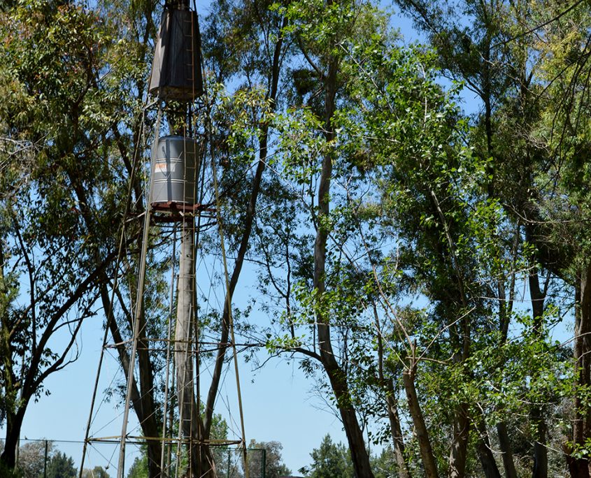 La Victoria – Area 60