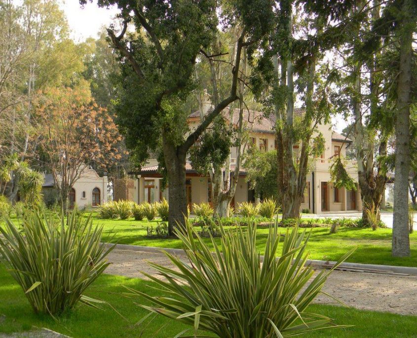 La Victoria – Area 60